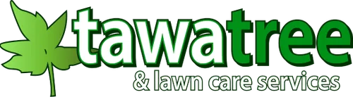 HOME | Tawa Tree and Lawn Care, Ottawa, OH